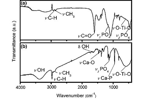 ftir spectra of tio 2 coatings a tio 2 control sample and b tio 2