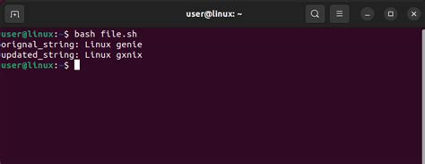 How To Replace One Character With Another In Bash Script Linux Genie