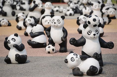 pictures of the day 15 october 2014
