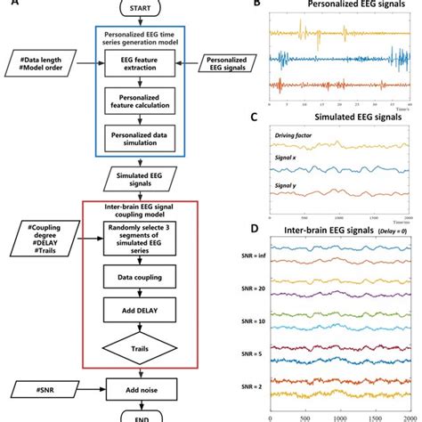 The Simulated Inter Brain Coupled Eeg Signals Generation Process A