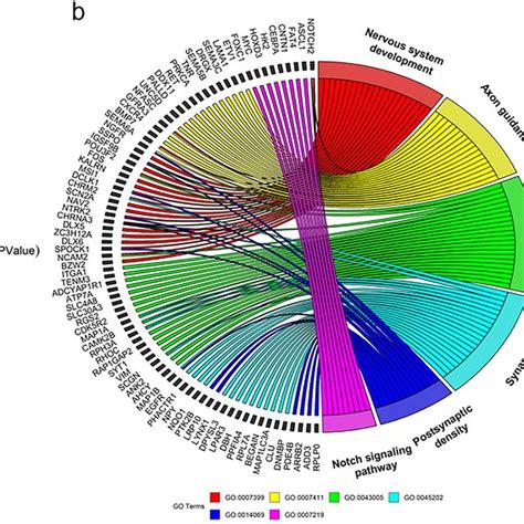 Kegg Pathway Enrichment Analysis Of Degs A The Bubble Plot Shows The