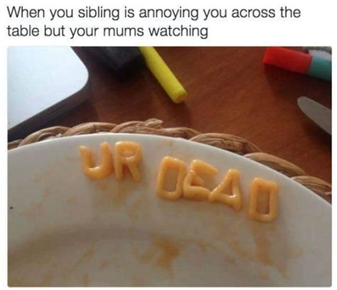 107 Of The Funniest Sibling Memes To Share With Your Brother Or Sister