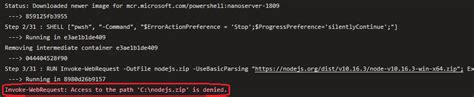 angular azure pipelines build failed for spa docker windows container
