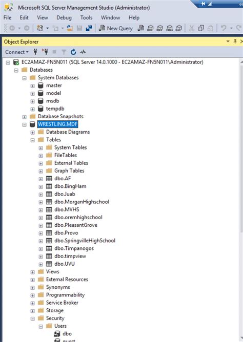c sql network interfaces error 50 local database runtime error