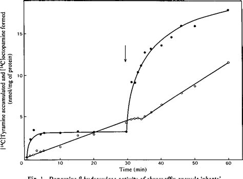 Figure 1 From Reduction Of Membrane Bound Dopamine Beta Hydroxylase