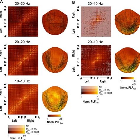 A B Interareal Phase Synchrony Within A And Between B And