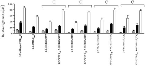 Transient Replication Assay Of Ns2 3′ Replicons The Replicons Carried