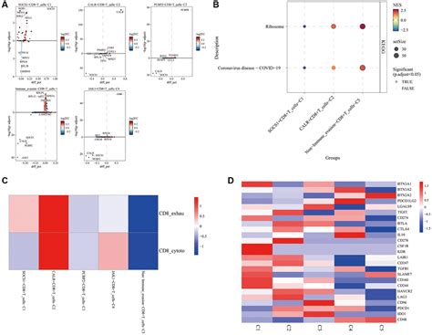Single Cell Immune Escape Correlation Analysis Unraveling The