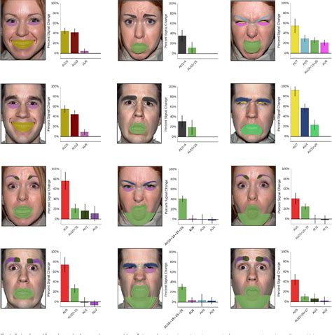 [pdf] Mapping The Emotional Face How Individual Face Parts Contribute