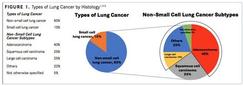 Nsclc Evolution Of Nsclc Classification Download Scientific Diagram