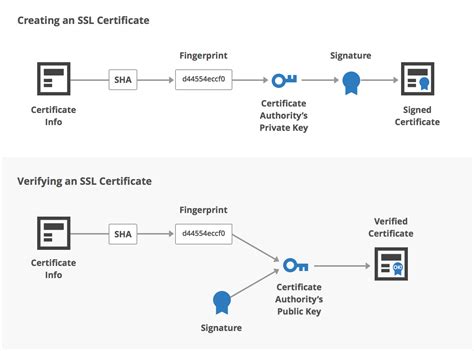 tls certificate optimization the technical details behind no browser