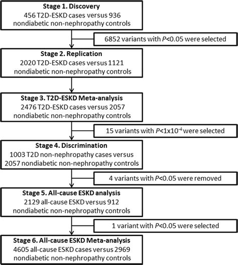 Analysis Workflow Of Single Variant Association Analysis For T2d Eskd