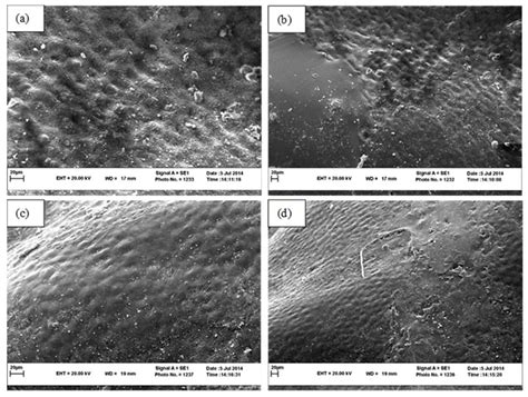 Foods Free Full Text Interaction Of Different Drying Methods And