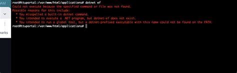Unable To Run Dotnet Ef Migration Add On Debian 10 · Issue 30795