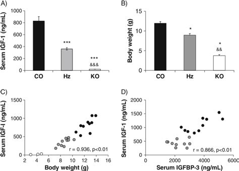 Body Weights Circulating Igf 1 And Igfbp 3 Levels And Their
