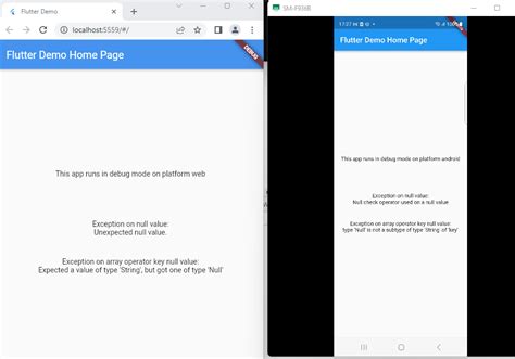 exception type null is not a subtype of type x of key in web