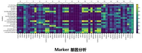 [暂停服务] 单细胞 Rna 测序 科研服务 上海伯豪生物技术有限公司 服务科技创新，护航人类健康！