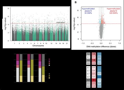 Distribution And Annotation Of Differentially Methylated Positions