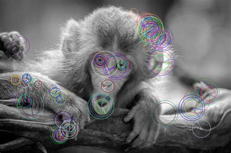 daily python python pool demystifying opencv keypoint in