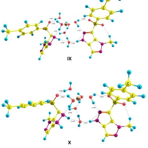 Binding Modes Of Complexes Of Compound 7 The Structures Of Ix X Were