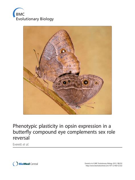 Pdf Phenotypic Plasticity In Opsin Expression In A Butterfly Compound