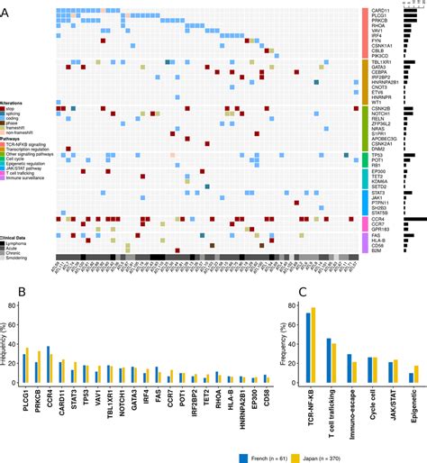 Mutational Landscape Of Atl A Distribution Of Clonal Somatic Mutations