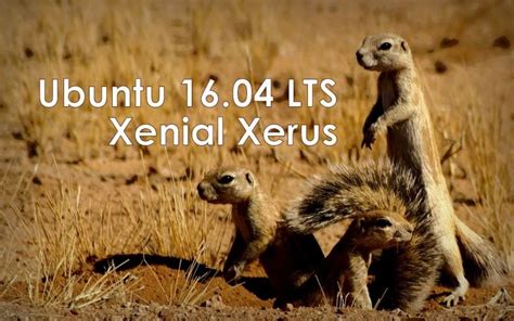 Ubuntu 16 04 Lts Xenial Xerus Tendrá Kernel Linux 4 3