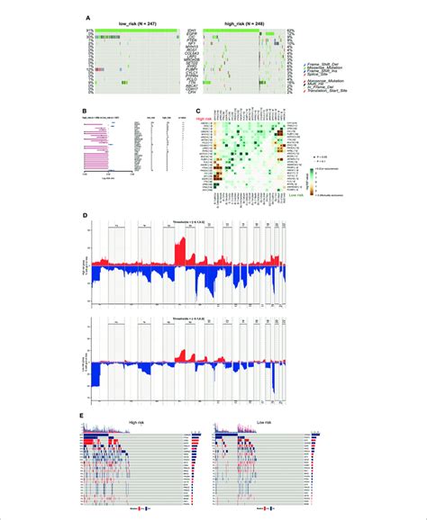 Somatic Mutation And Cnvs In Different Risk Groups A Seven
