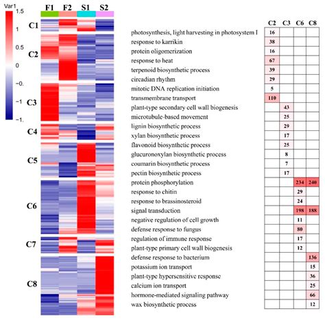 Biology Free Full Text Comparative Transcriptome Analysis Reveals