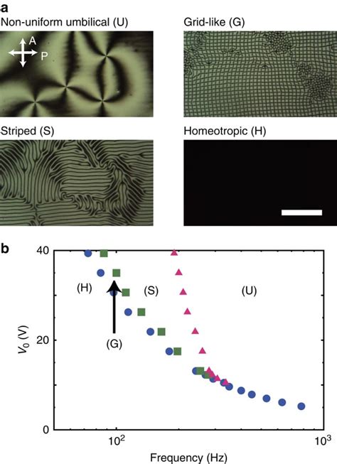 Large Scale Self Organization Of Reconfigurable Topological Defect