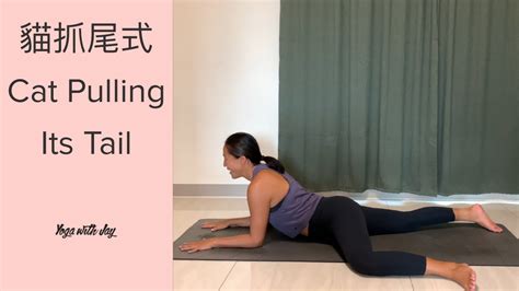 貓抓尾式 Cat Pulling Its Tail 陰瑜伽 Yin Yoga 初級瑜伽 Beginner Home Yoga