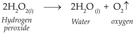 Chapter 3 Chemical Reactions And Equations 2023
