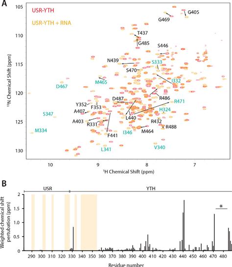 A Low Complexity Region In The Yth Domain Protein Mmi1 Enhances Rna