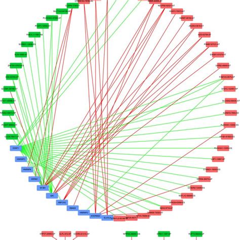 Splicing Correlation Network In Tnbc Expression Of Fifteen Sfsb Bule