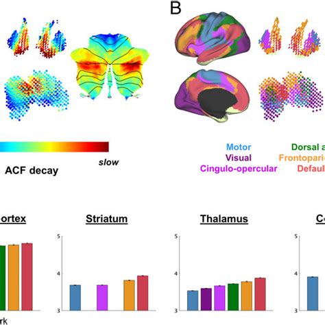 Cortical And Subcortical Timescale Gradients Relate To Functional