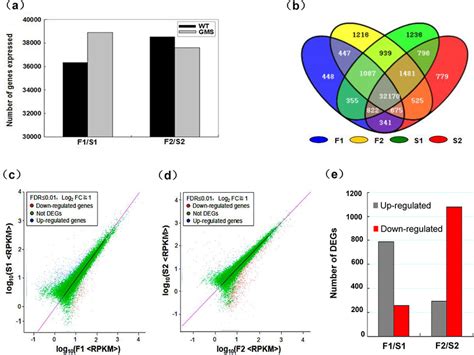 Transcriptome And Differentially Expressed Gene Deg Analysis Of The