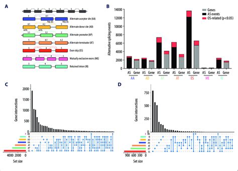 Profiles Of 7 Alternate Splicing As Patterns And Overall Survival