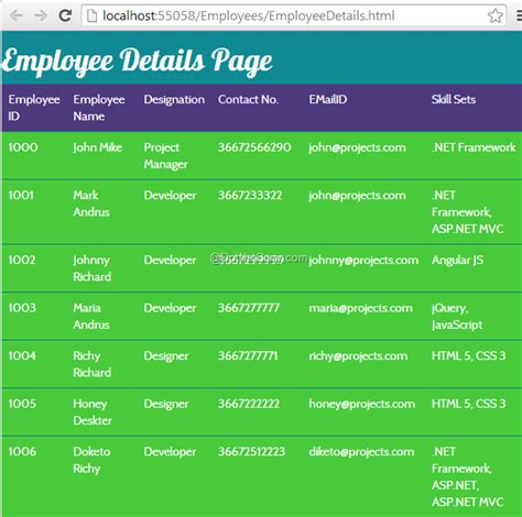 working with angularjs views and directives project tracking website