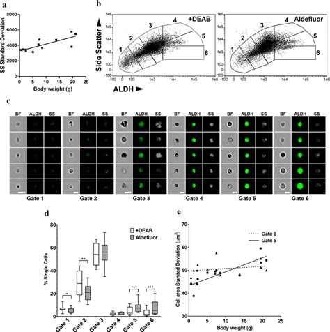 Imaging Flow Cytometry Analysis Of Hemocyte Populations In Styela