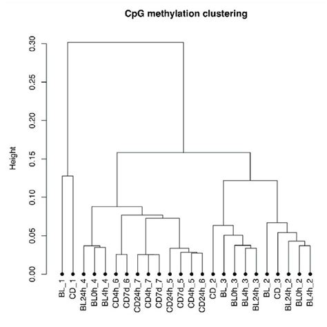 Unsupervised Clustering Plot Based On The Methylation Values Samples