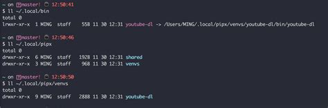 python 方案三：使用 pipx 虚拟环境 无涯教程网