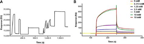 Binding Affinity Of Girlrg Peptide To Grp78 Protein Using Spr A