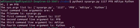how to use sys argv in python