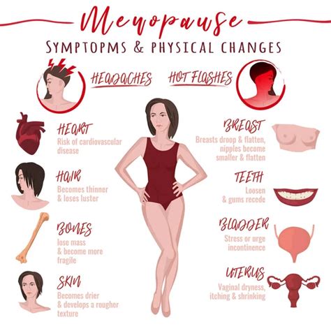 Menopause Symptoms Set Stock Vector By ©annyart 208578370