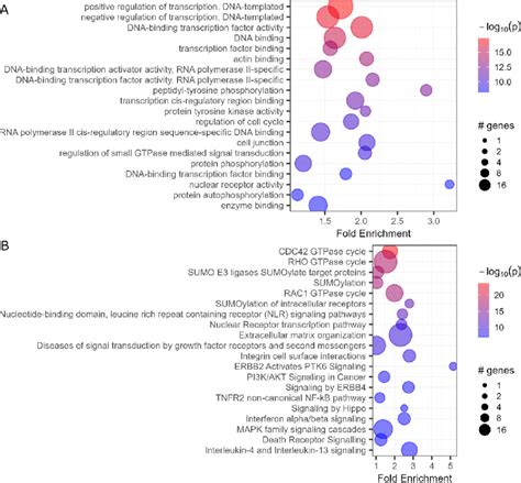 The Enrichment Analysis Of A Go Terms And B Reactome Pathways Among