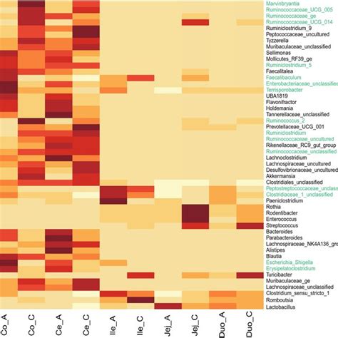 Heatmap Representing Mean Relative Abundance Of The Fifty Most Abundant