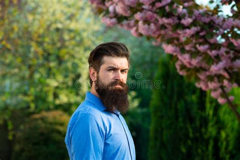 Handsome Male Model Beard Mustache And Blonde Hairdo Wears Casual