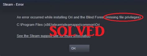 steam missing file privileges error {fixed} the us guy