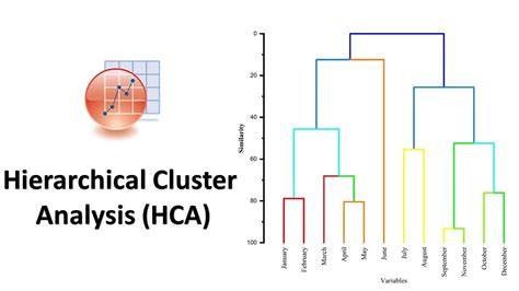 hierarchical cluster analysis hca in originpro biostatistics