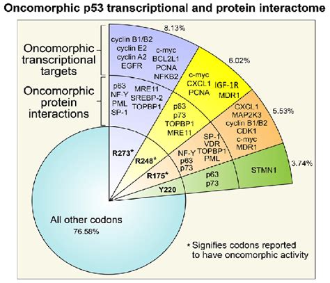 Hotspots For Tp53 Mutations Mutations That Occur At A Frequency